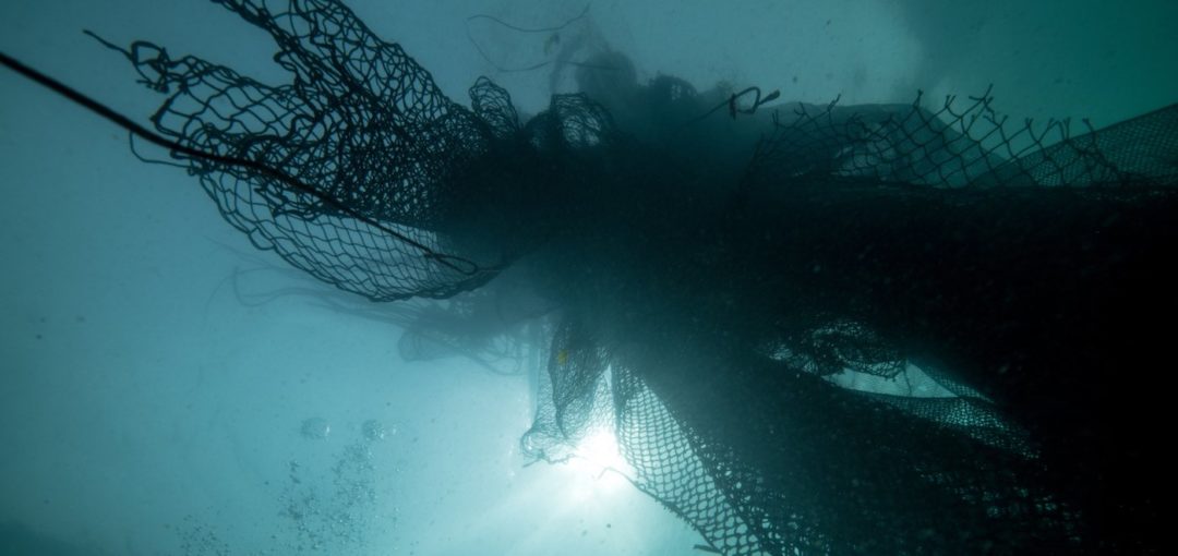 Poisoning Poseidon with Plastics - We are the Sea's Disease - Brighton ...